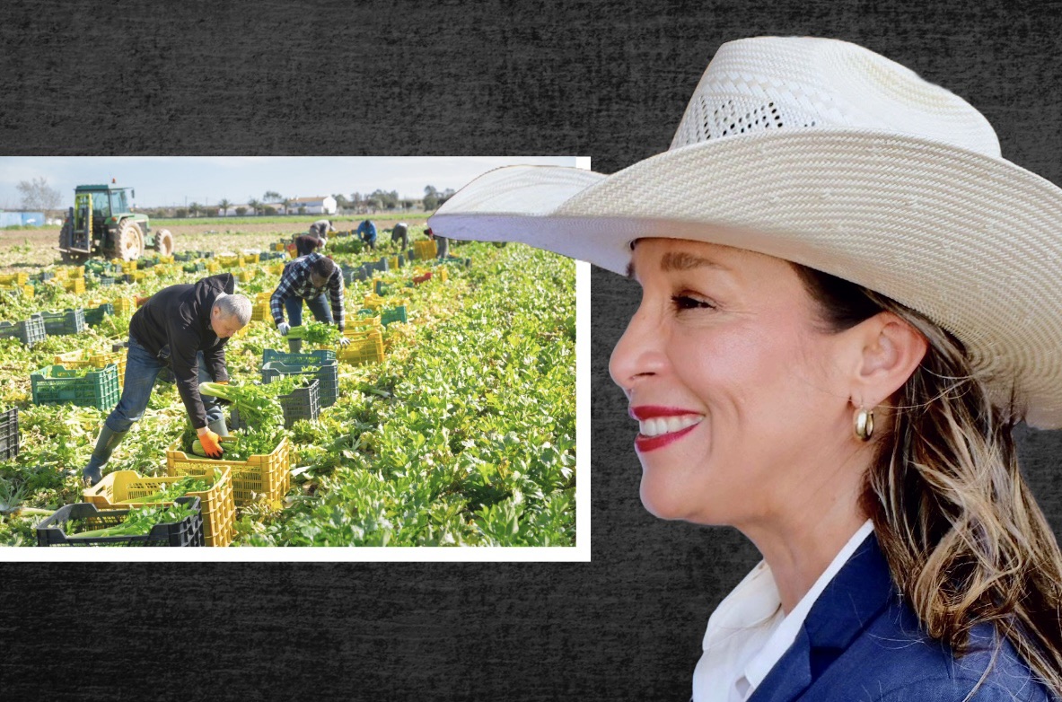 Congresista federal Mónica de la Cruz impulsa reforma “Programa Bracero ...